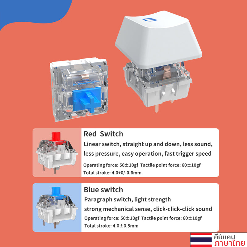 Ajazz AK871 White Tea – Gamers Lab TH